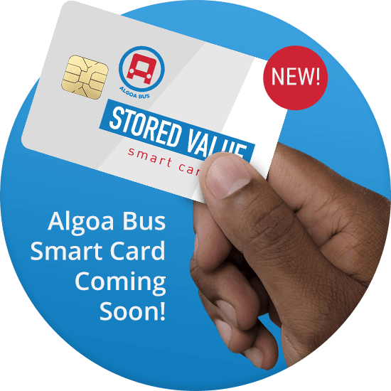 Algoa Bus Company | Public Transport | Nelson Mandela Metropole Area